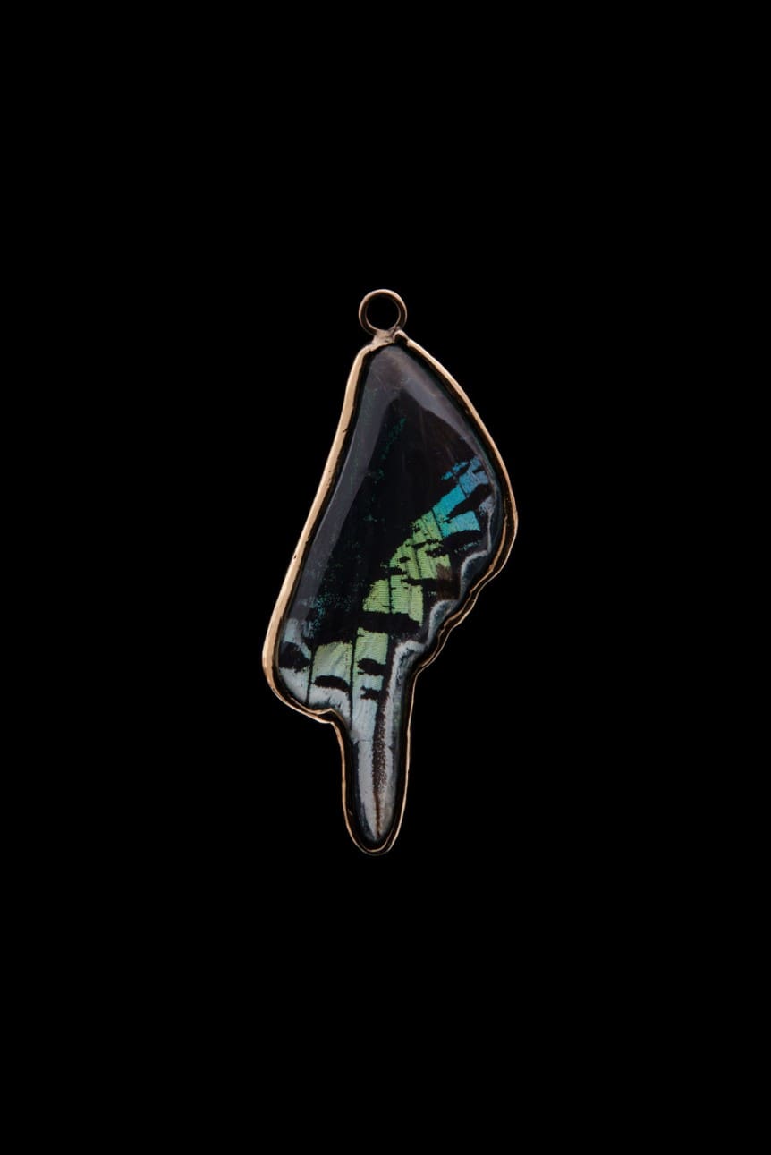 Green Page Moth Pendant | Blue Morpho Jewelry