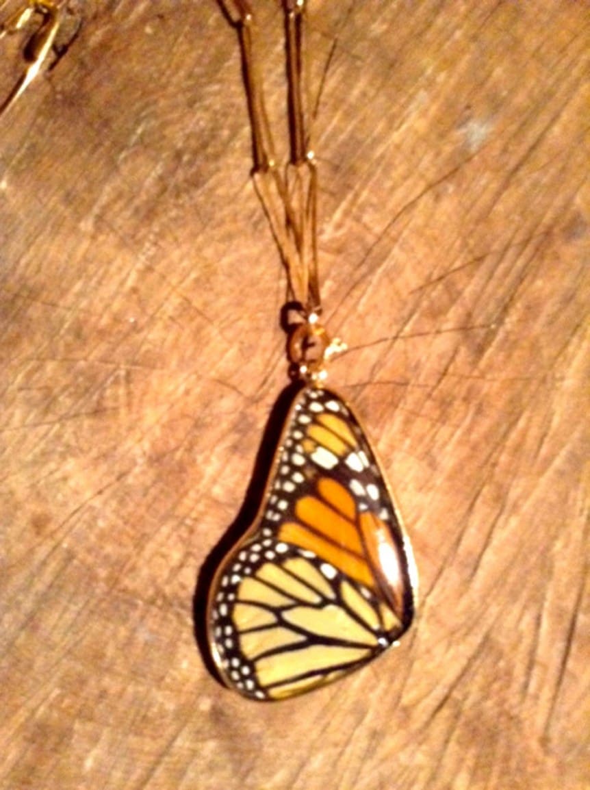 Monarch pendant, full wingspan | Blue Morpho Jewelry