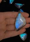 Pearl Morpho Pendant | Blue Morpho Jewelry