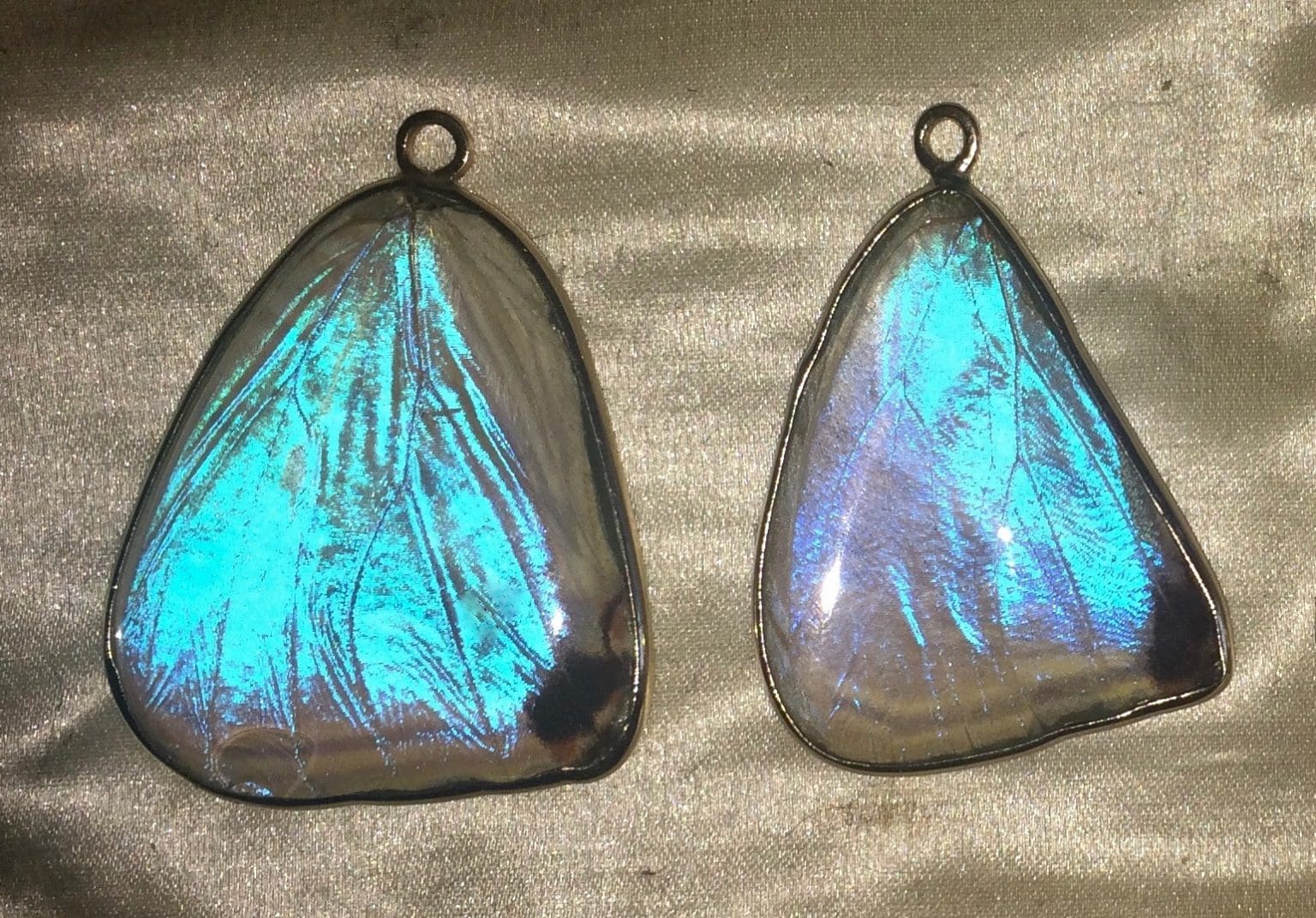 Pearl Morpho Pendant, Bottom Wing | Blue Morpho Jewelry